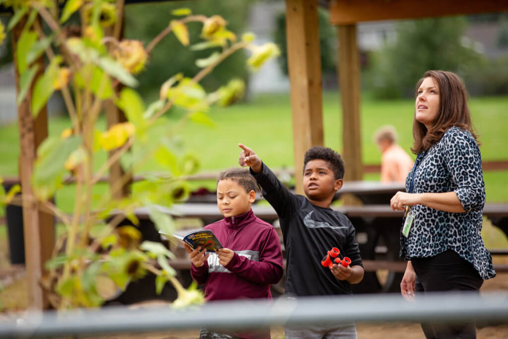 Pros and Cons of Charter Schools You Probably Didn't Know About ...